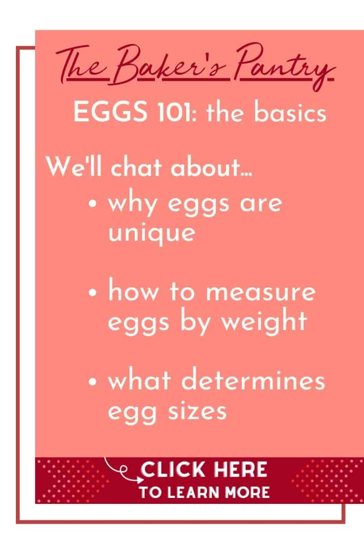 EGGS 101: the basics of size and function - Mint + Mallow Kitchen